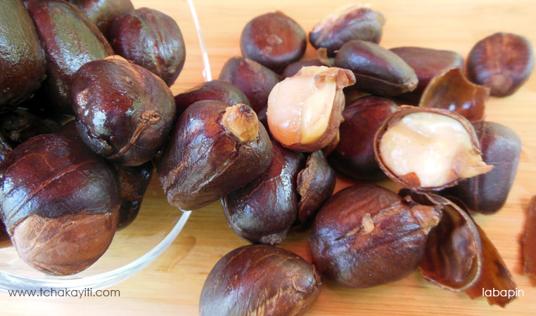 Labapin, Haitian Chestnut